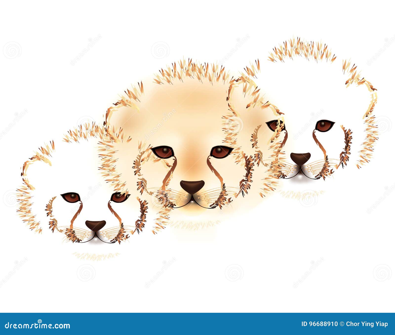 Cheetah cubs stock vector. Illustration of copy, wildlife - 96688910