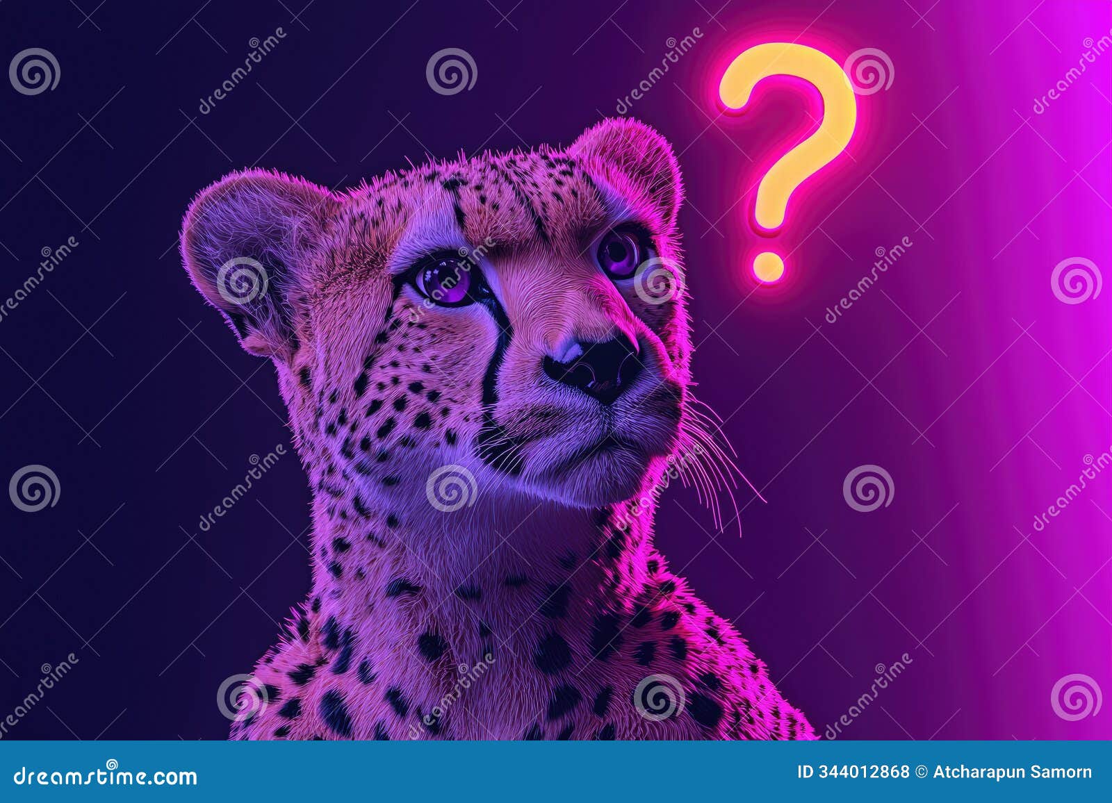 Cheetah with Curious Expression and Glowing Question Mark Stock Photo ...