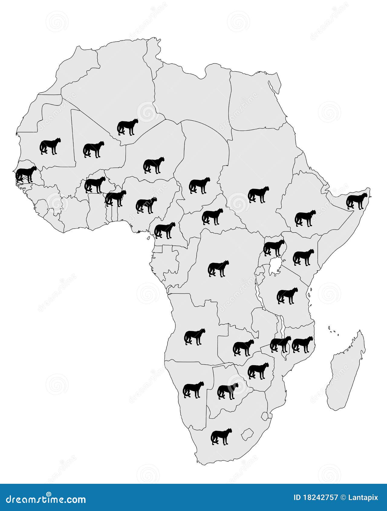 Cheetah Distribution Africa Royalty Free Stock Photography - Image ...