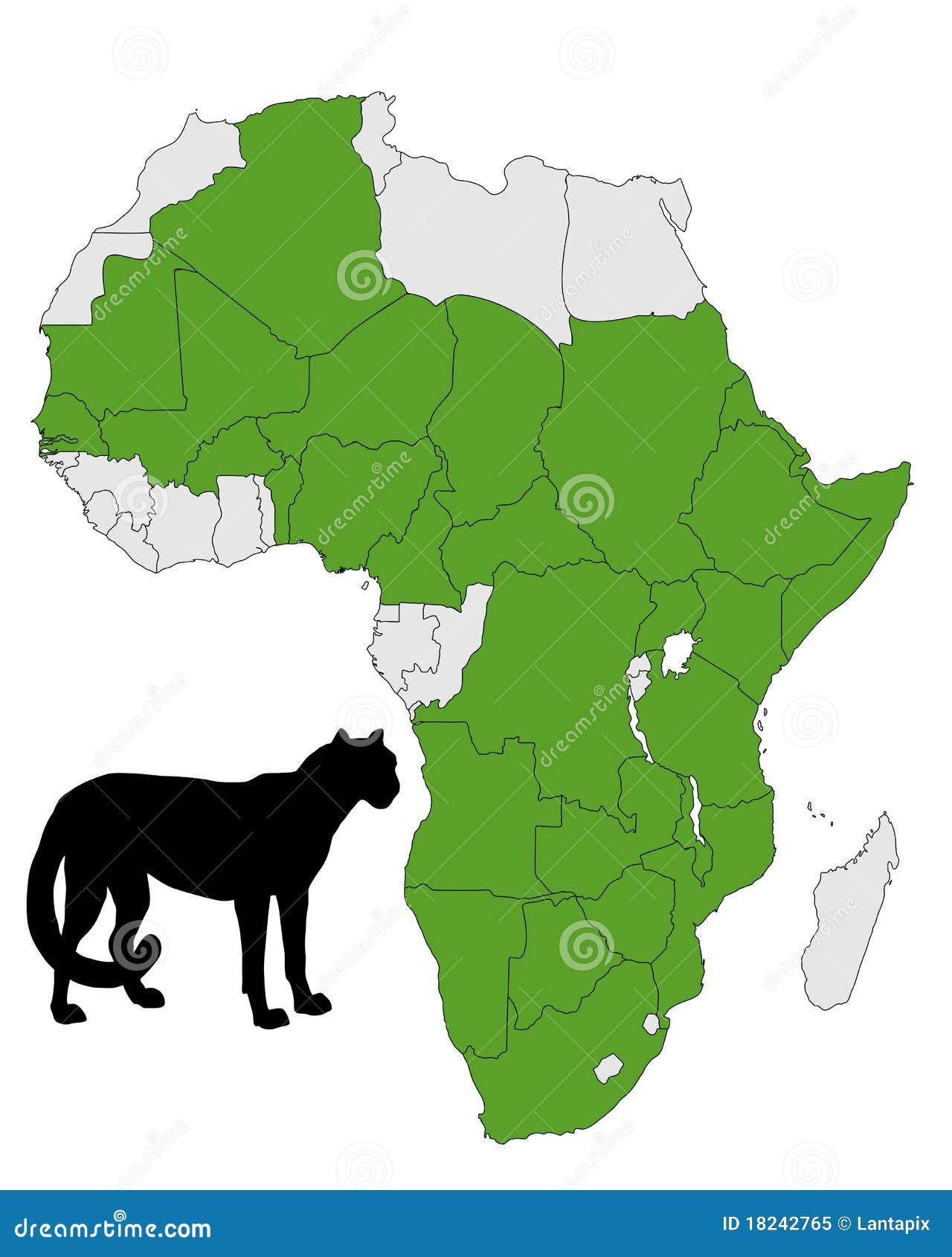 Cheetah Distribution Africa Royalty Free Stock Photo - Image: 18242765