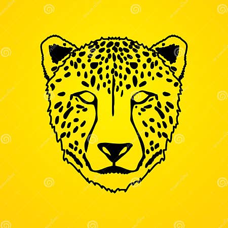 Cheetah face stock vector. Illustration of hunt, creature - 80663688