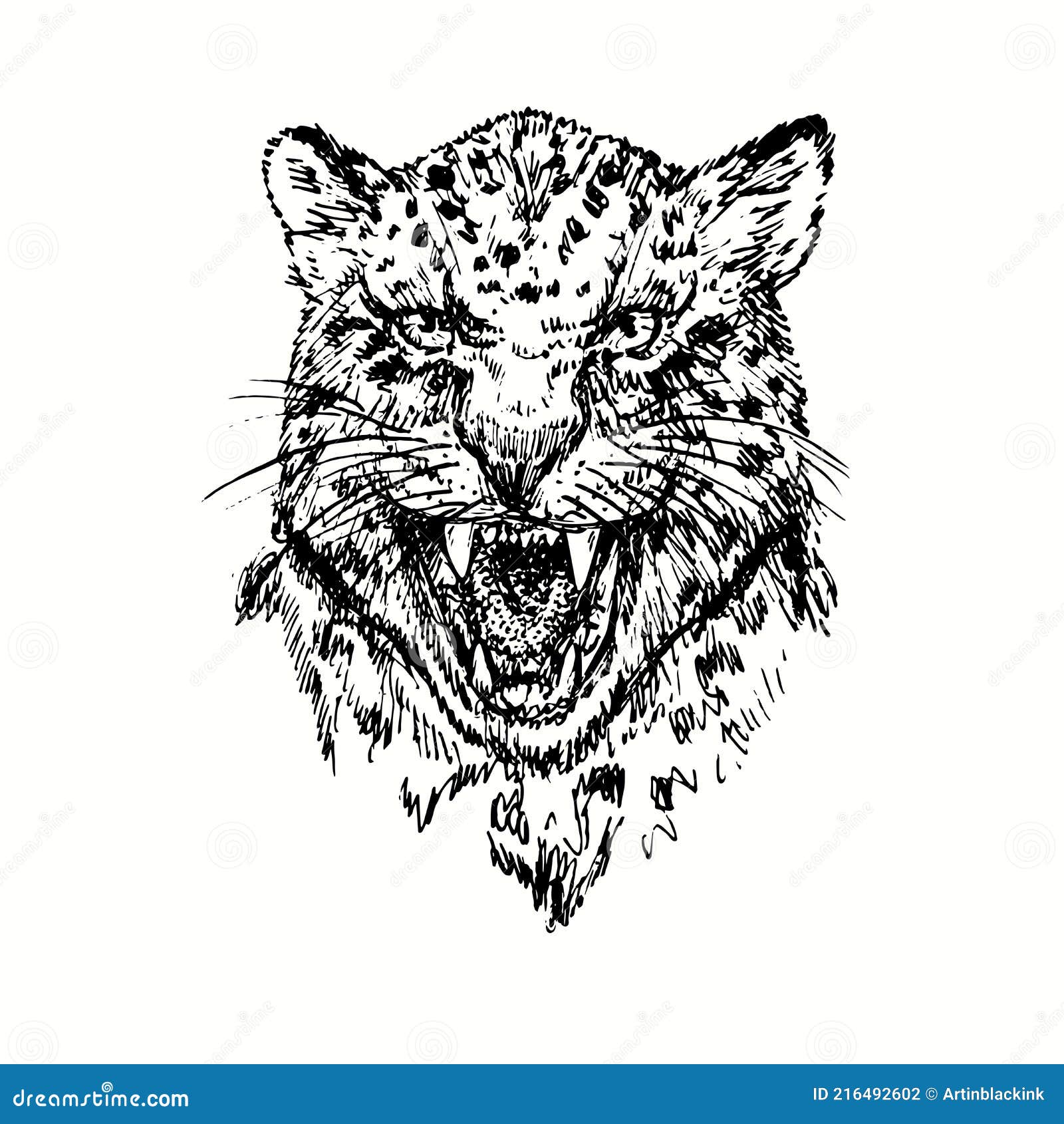 Wildcat Growling In Profile, Has Opened An Embittered Mouth, Canines ...