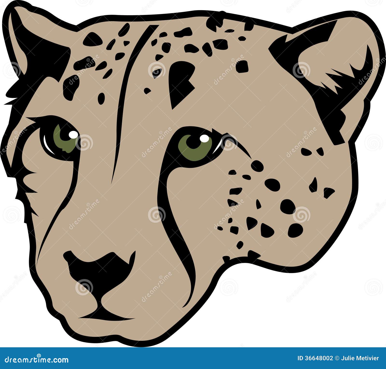 Cheetah Head Zentangle Stylized, Vector, Illustration, Pattern ...