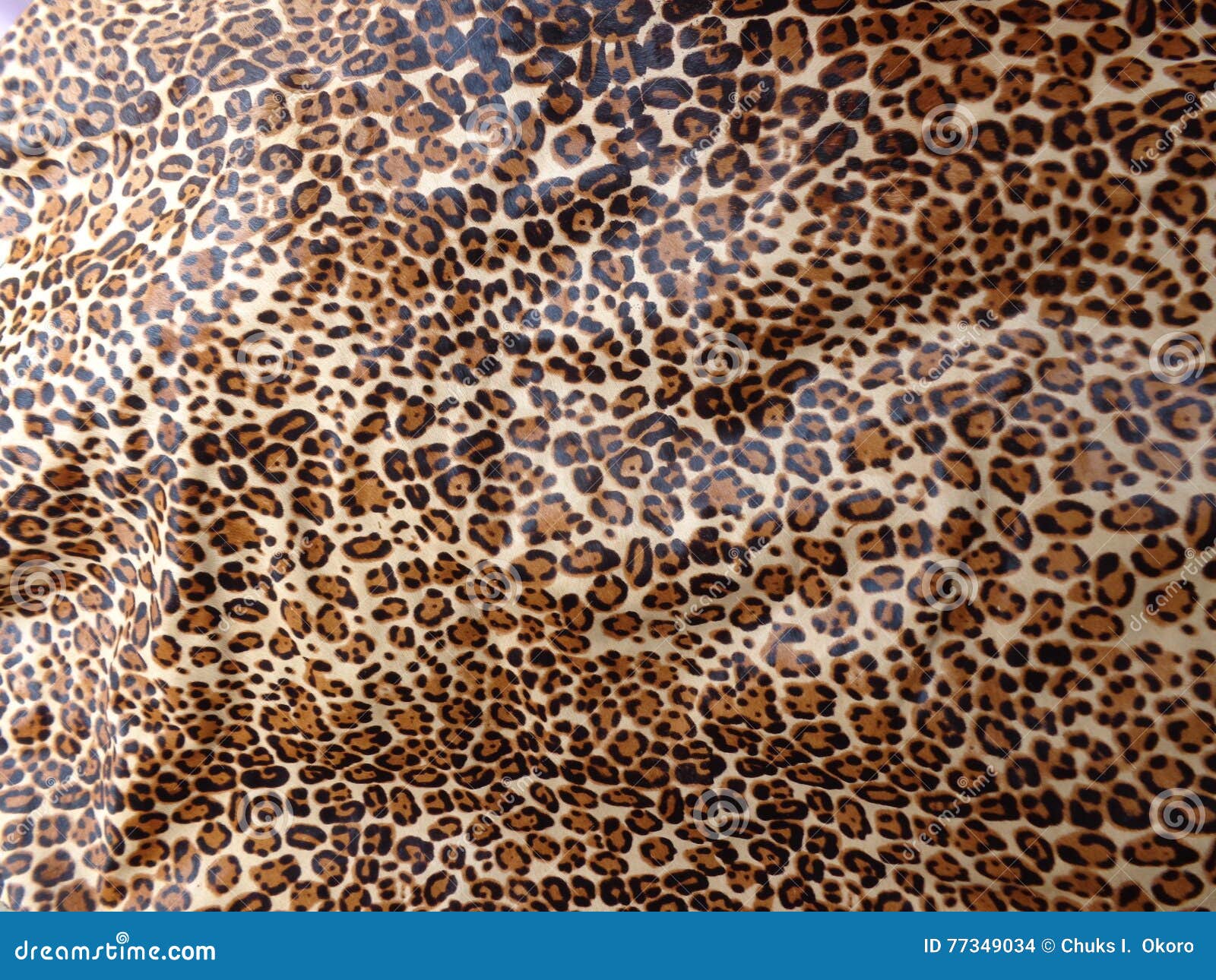 Cheetah skin pattern stock photo. Image of rusted, colour - 77349034