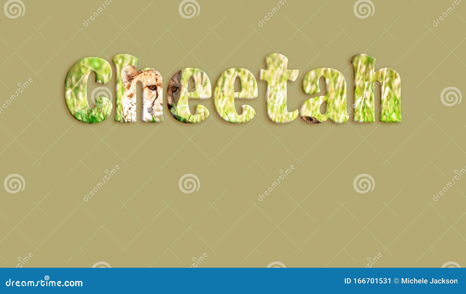 Cheetah Text from Cheetah Image Stock Illustration - Illustration of ...