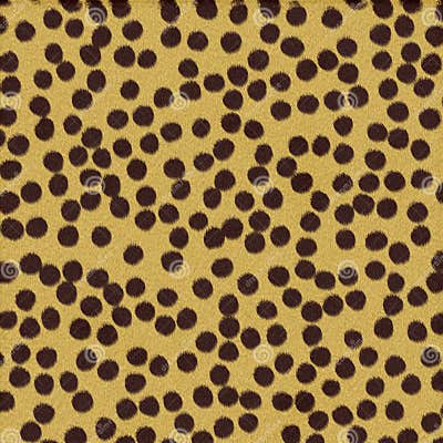 Cheetah Texture Background Fur Stock Image - Image of black, hair: 3159911