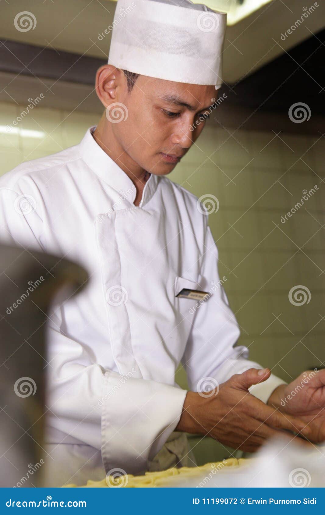 Chef stock photo. Image of male, cooking, industry, people - 11199072