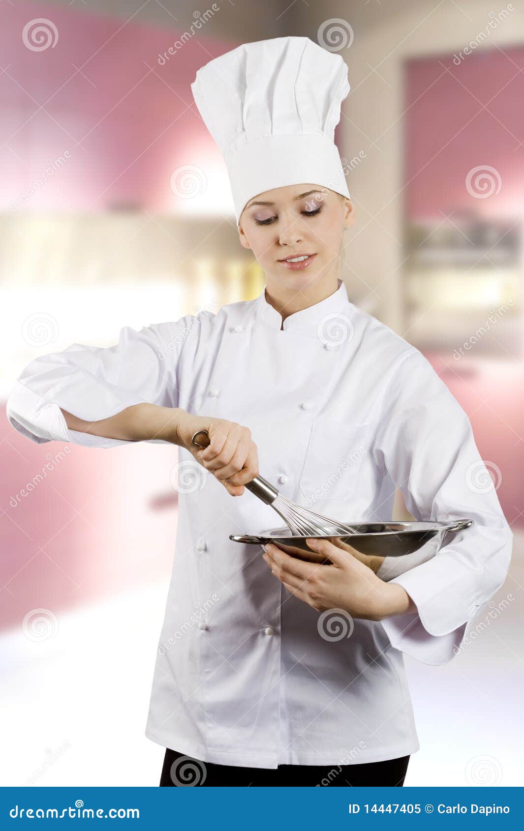 The chef stock image. Image of cuisine, person, perfect - 14447405