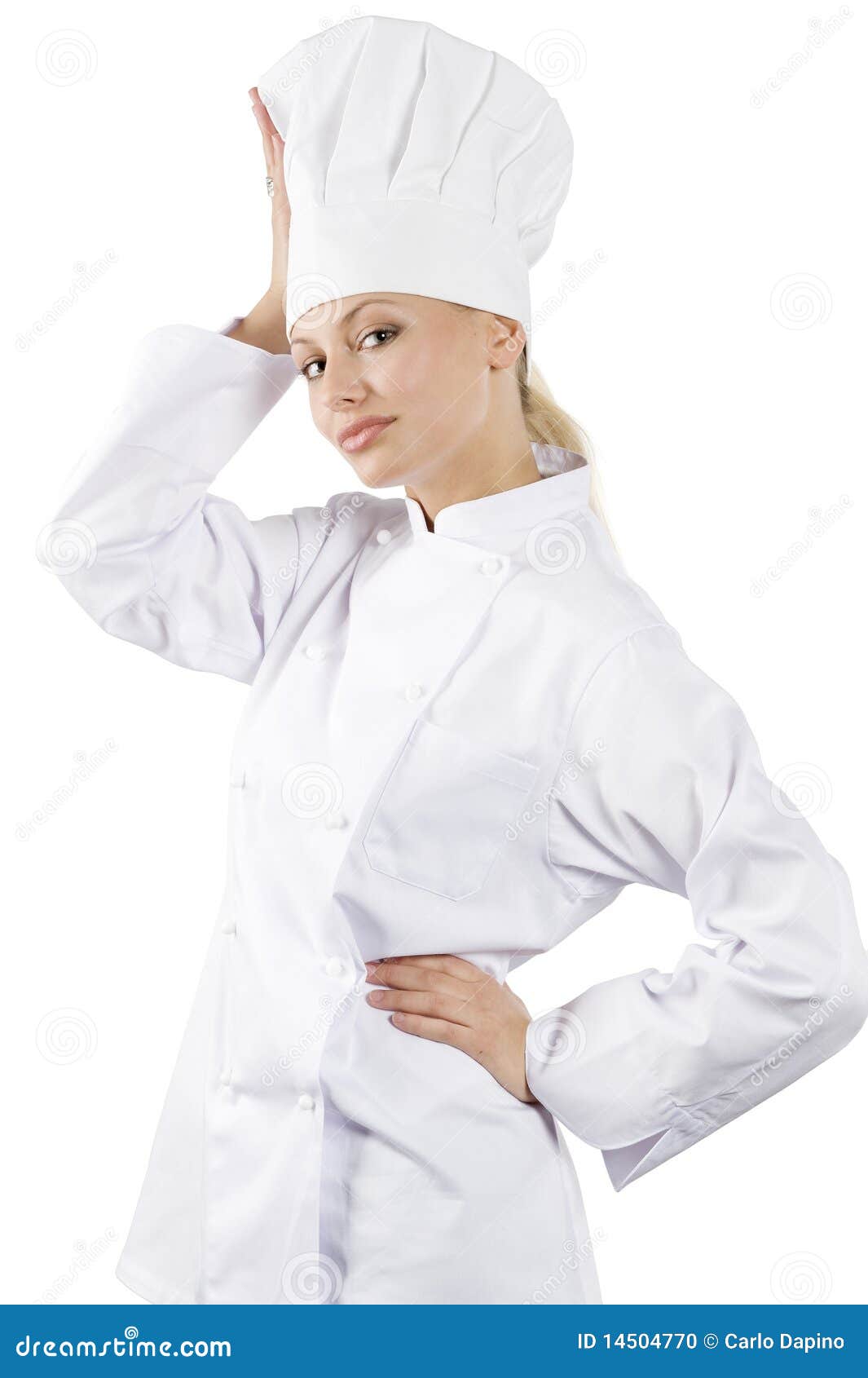 The chef stock photo. Image of career, gourmet, happy - 14504770