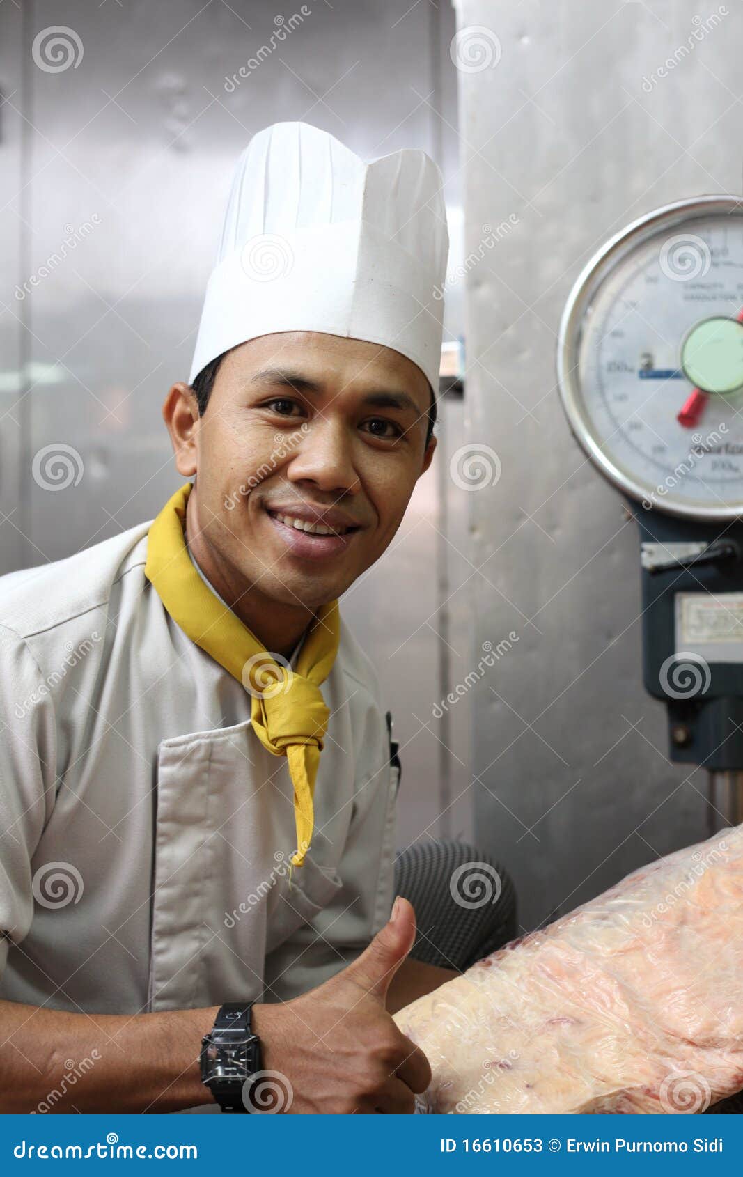 Chef stock image. Image of portrait, meat, butcher, food - 16610653