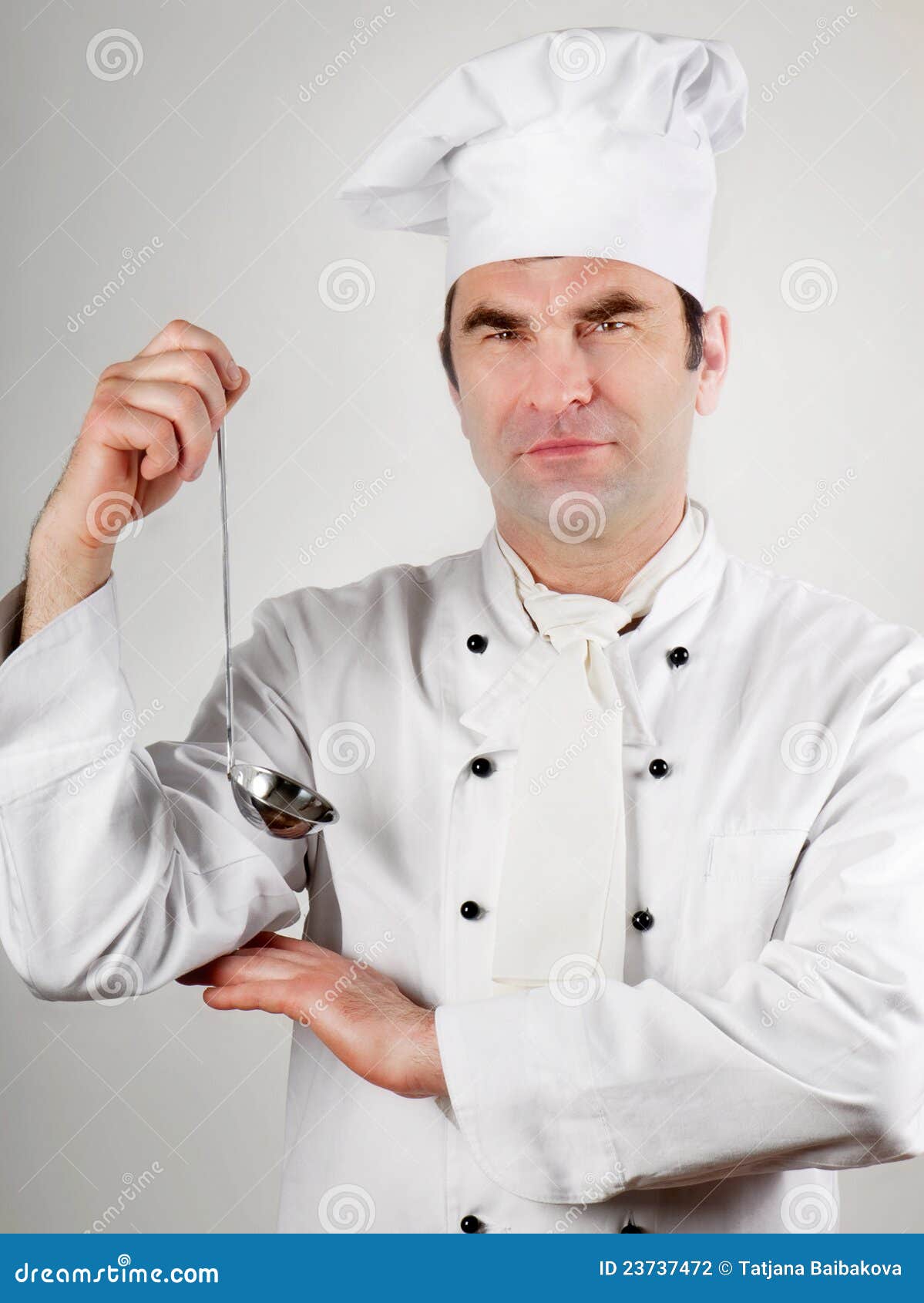 Chef stock photo. Image of cooking, dish, food, handsome - 23737472