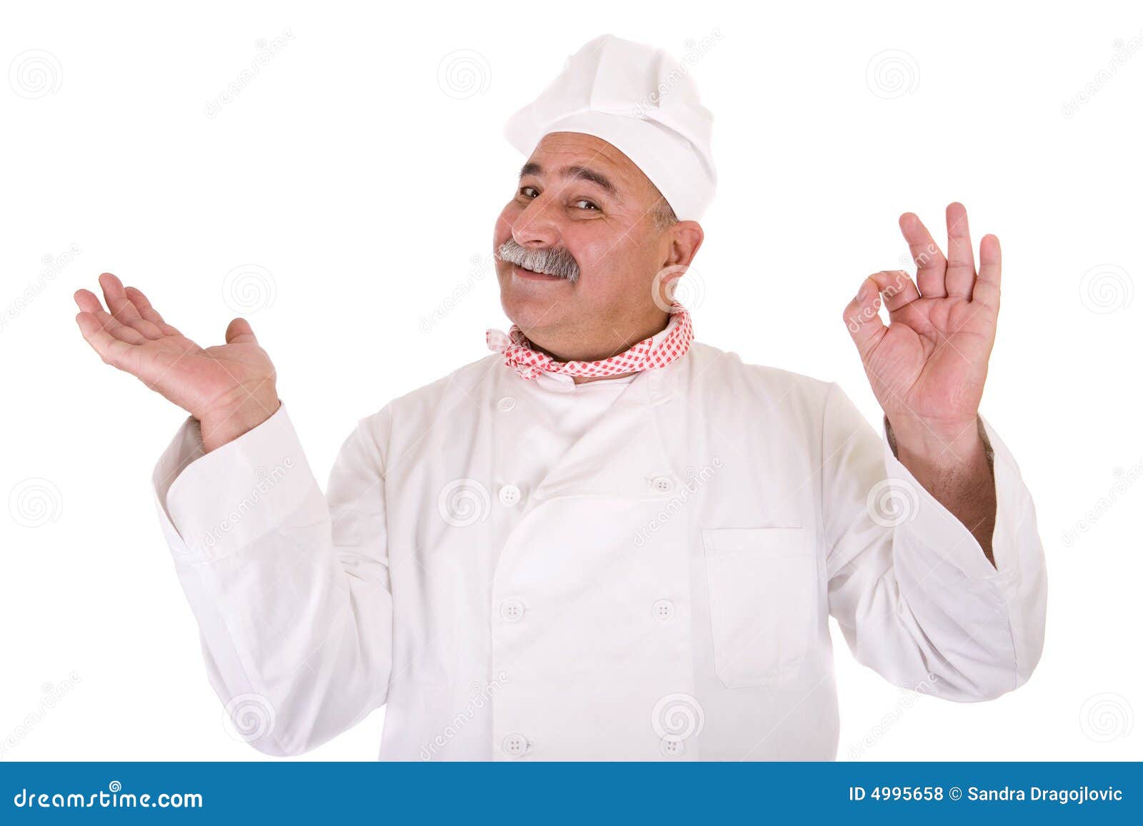 Chef stock photo. Image of preparing, caucasian, food - 4995658
