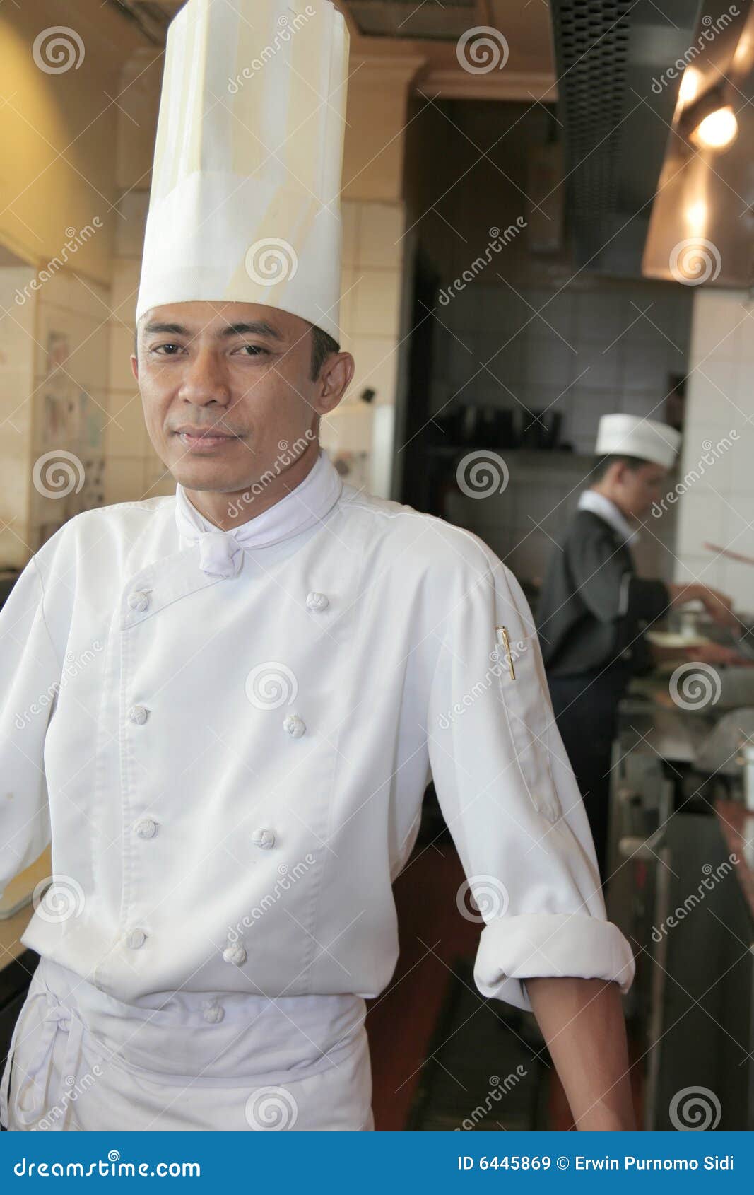 Chef stock image. Image of feel, industry, food, goal - 6445869