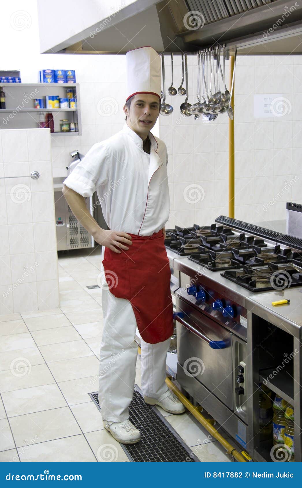 Chef stock photo. Image of kitchen, gourmet, worker, restaurant - 8417882