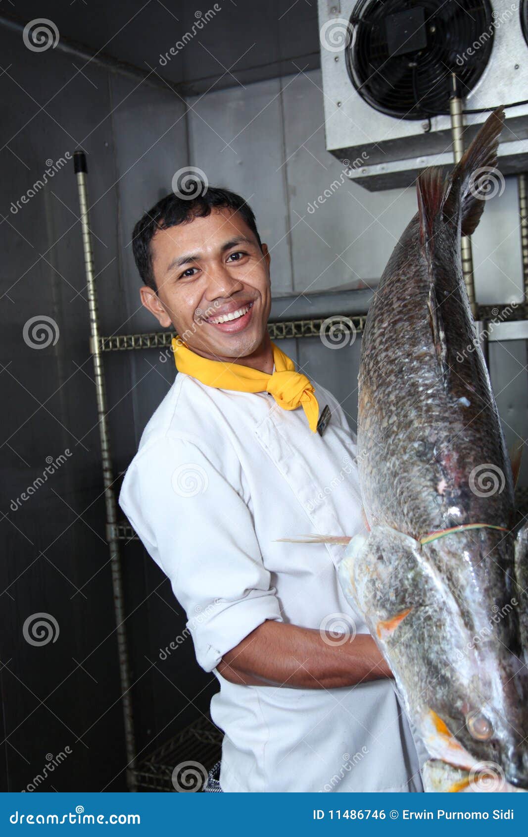 Chef and big fish stock photo. Image of staff, seafood - 11486746