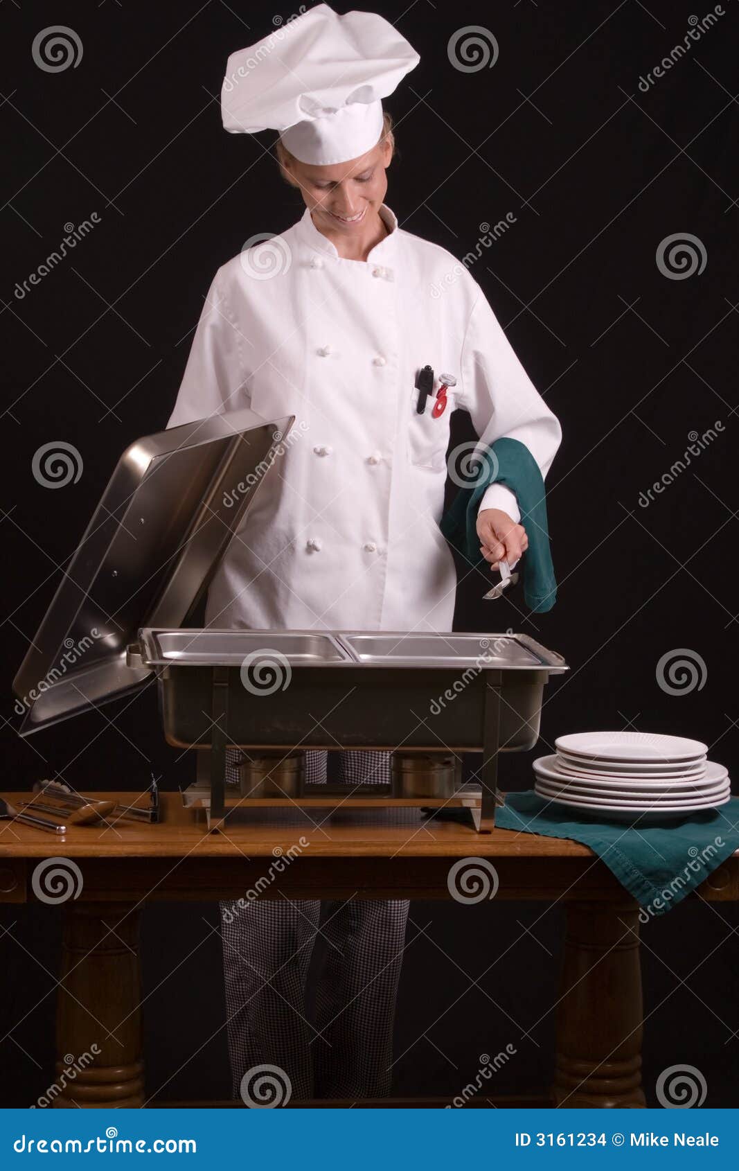 Chef at buffet stock photo. Image of beautiful, bake, face - 3161234