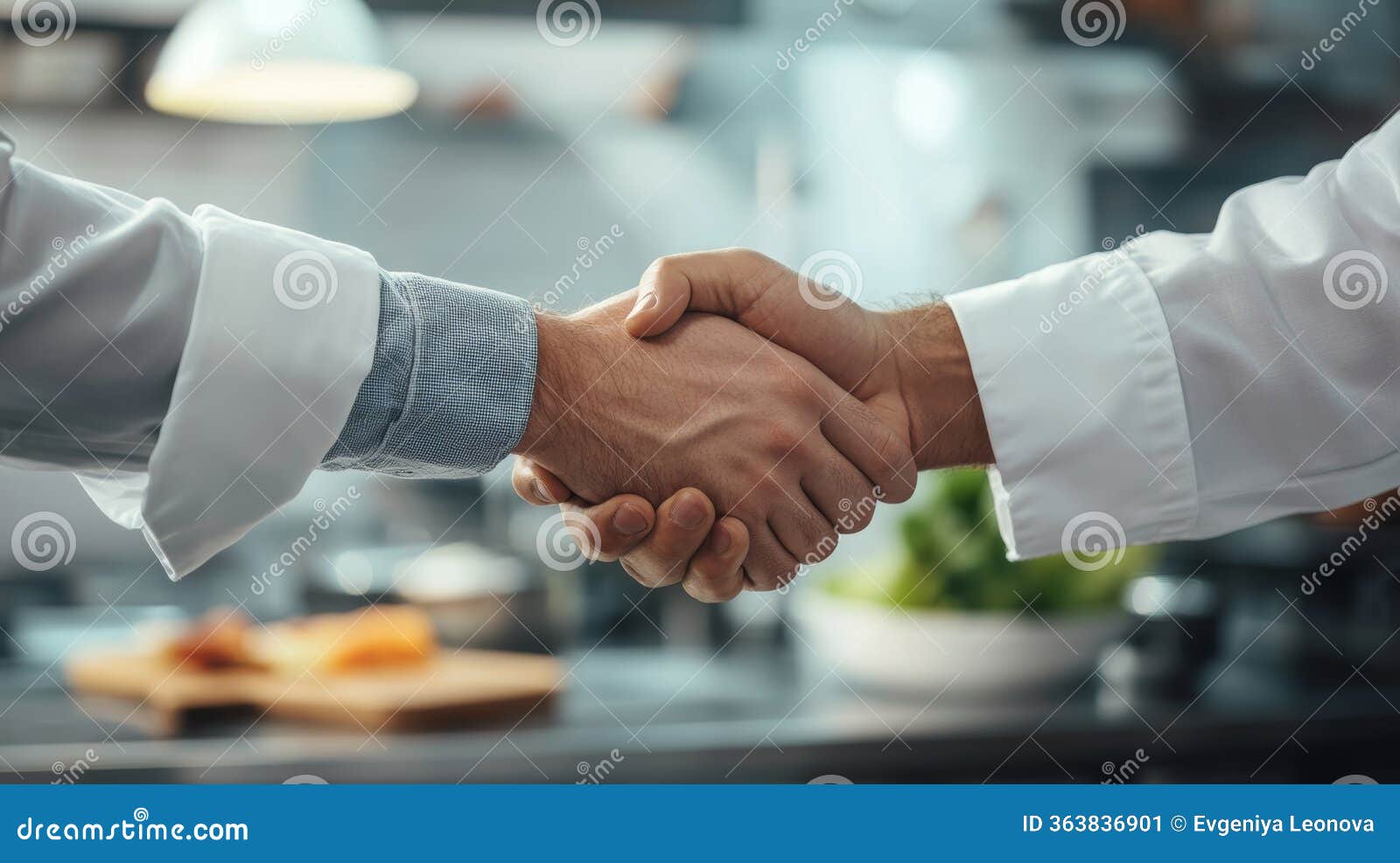 Teamwork In The Kitchen Isolated Cartoon Vector Illustrations ...