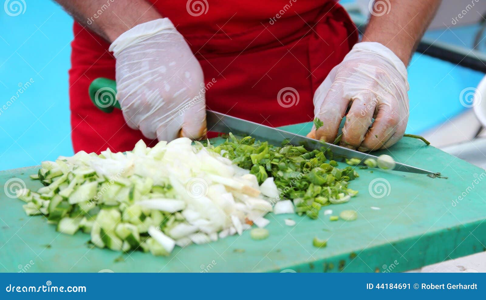 Chef Chopping Vegetables stock image. Image of ingredient - 44184691