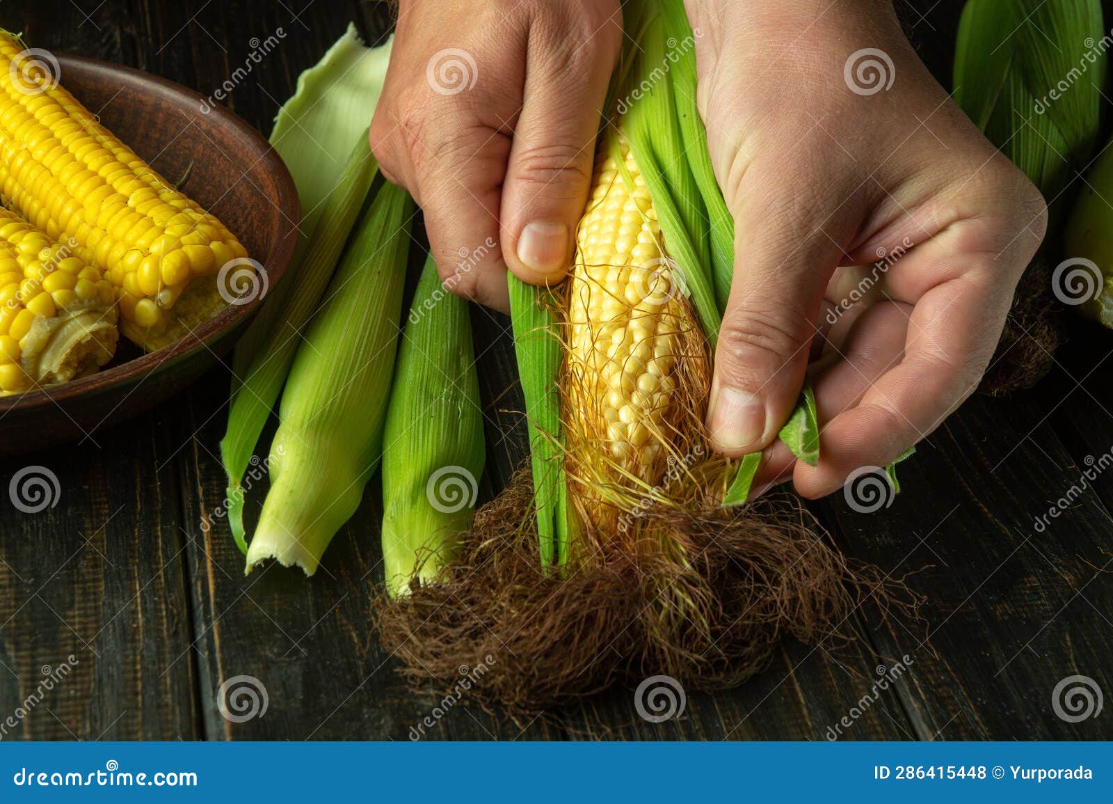 The Chef Cleans the Corn with His Hands To Prepare for Dinner. the Idea ...