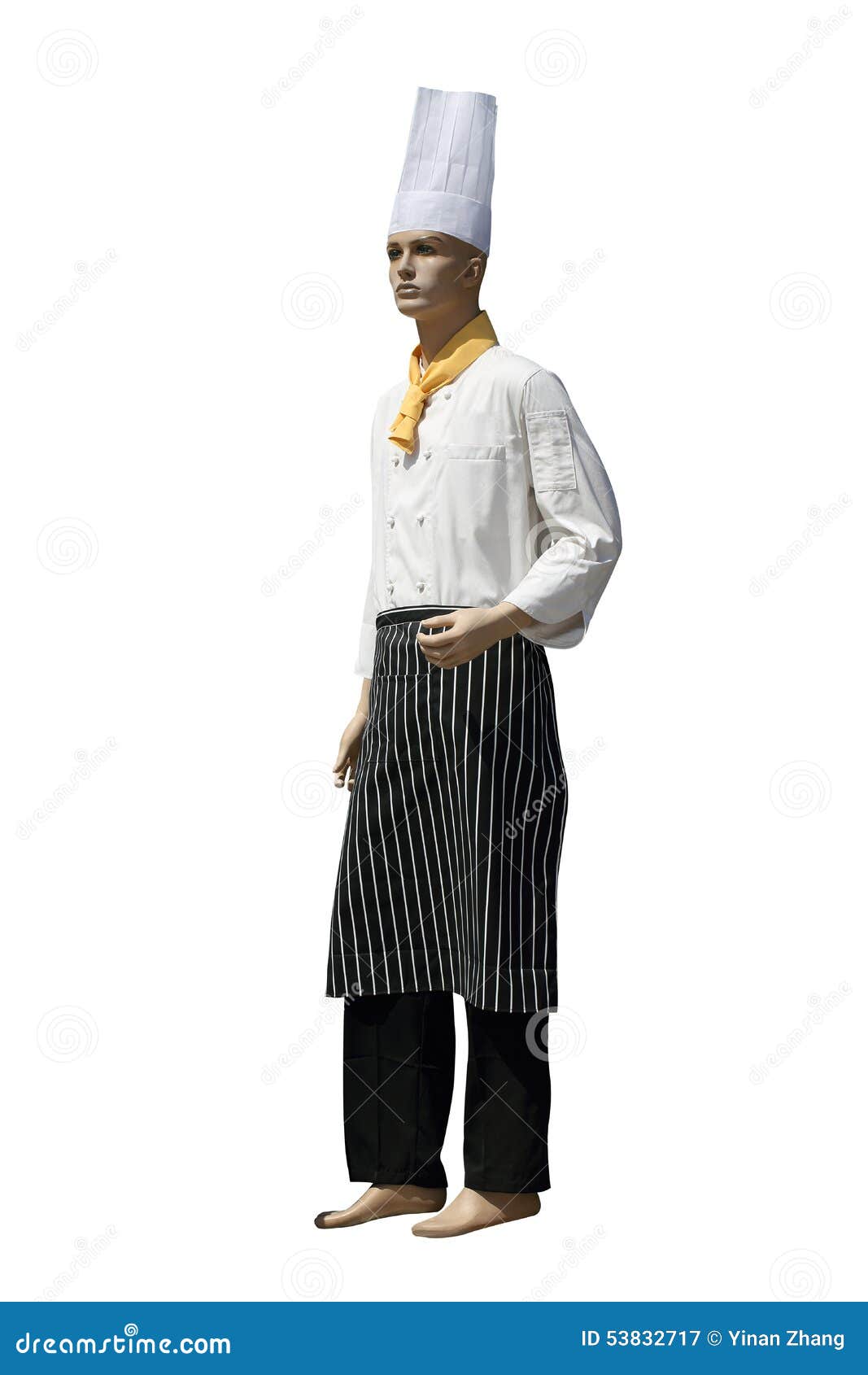 The chef clothing stock image. Image of body, model, work - 53832717