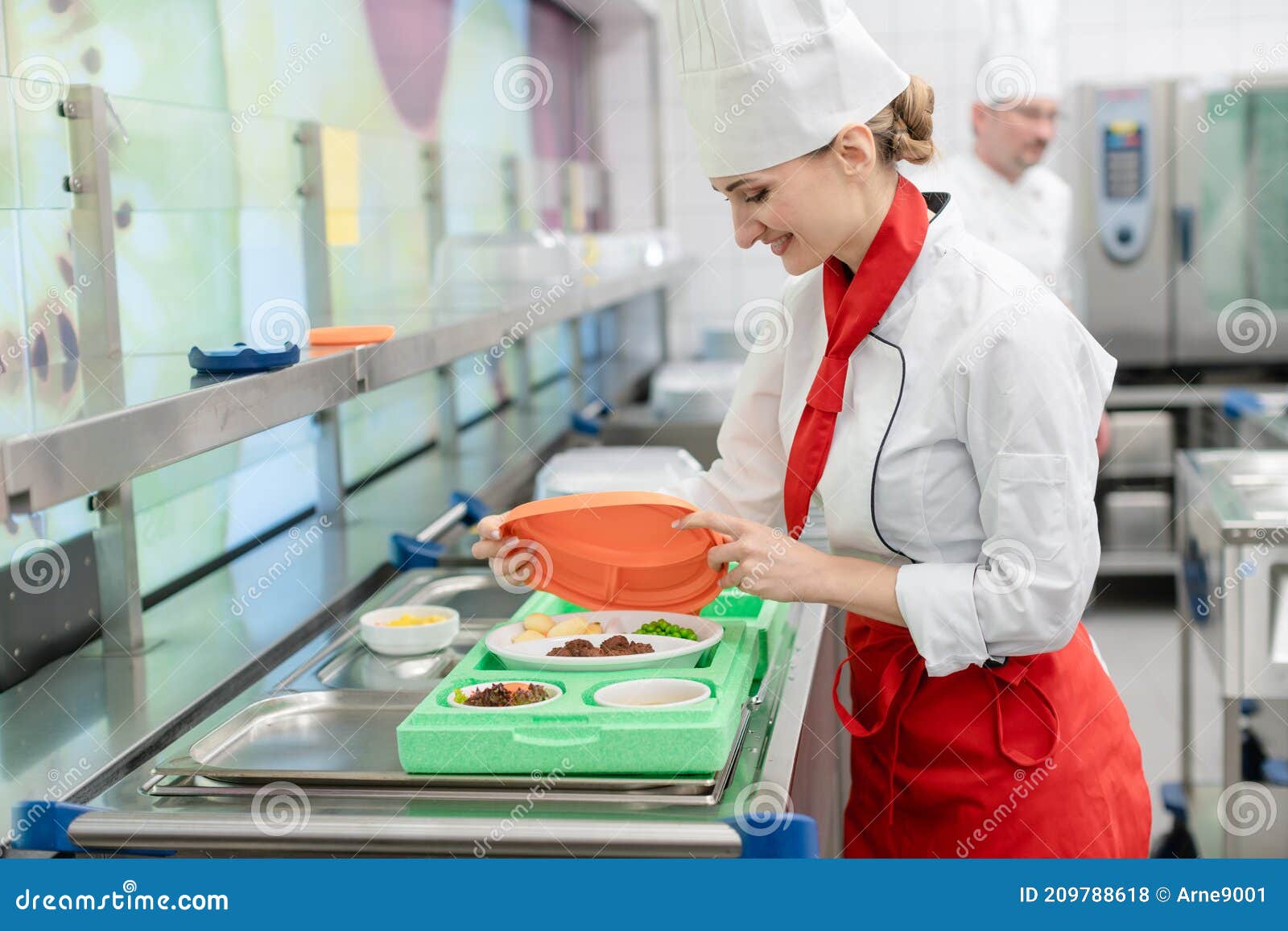 Chef in Commercial Kitchen Preparing Meal for Delivery Stock Photo ...
