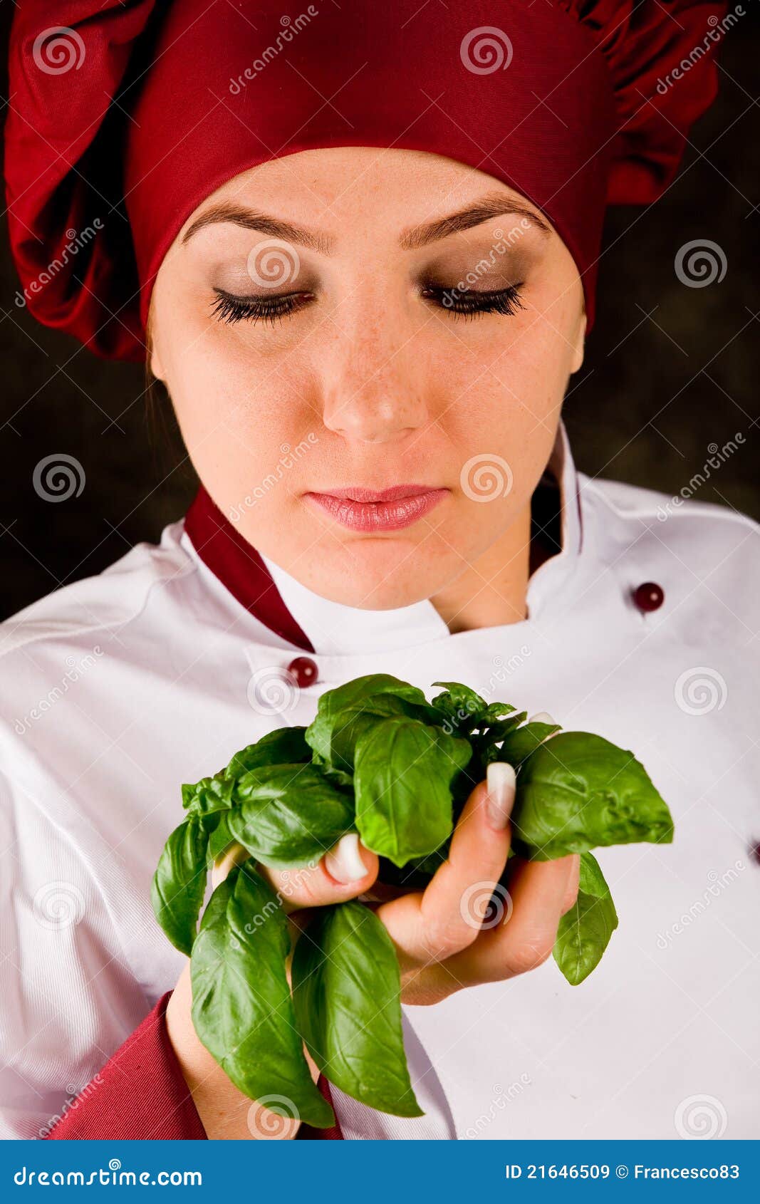 Chef is Controlling Basil Quality Stock Image - Image of basil ...
