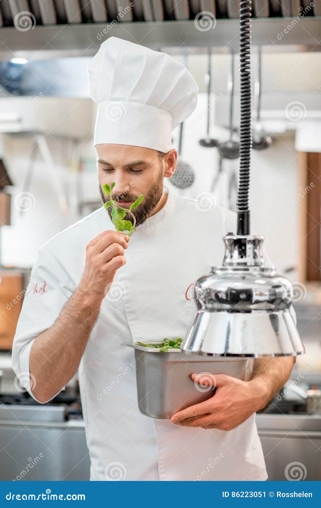 Chef cook at the kitchen stock image. Image of chef, green - 86223051