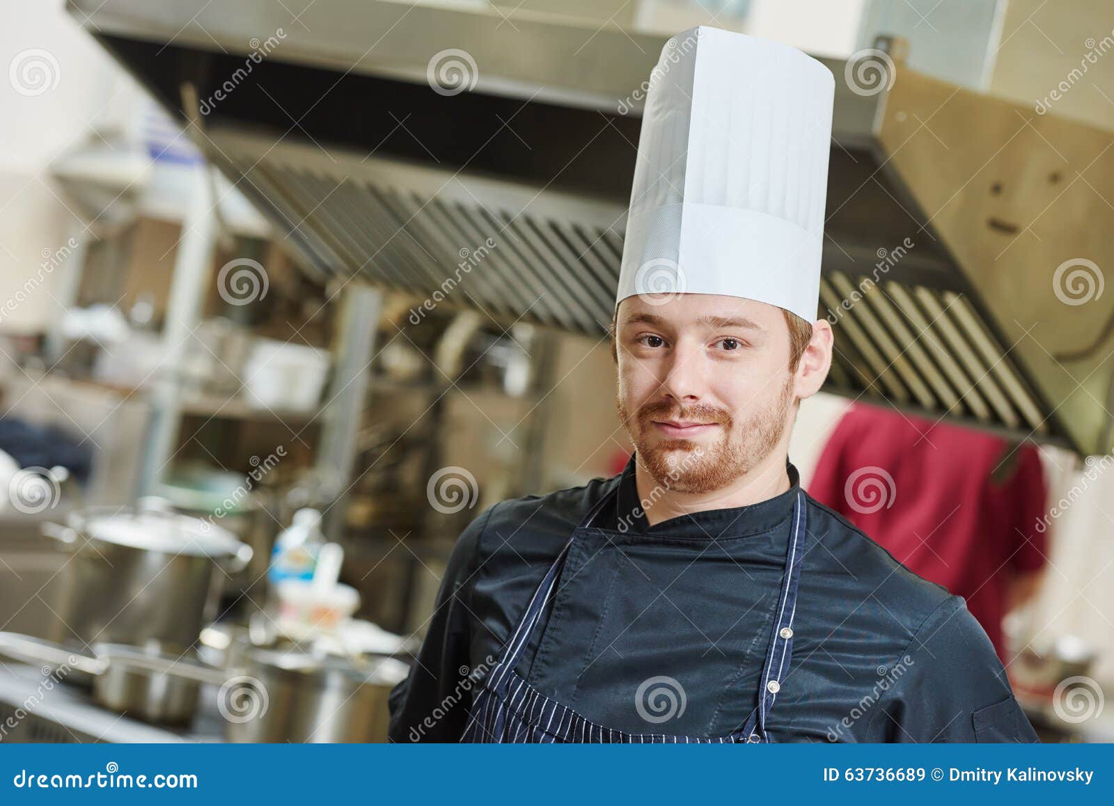 Chef cook portrait stock image. Image of occupation, plate - 63736689