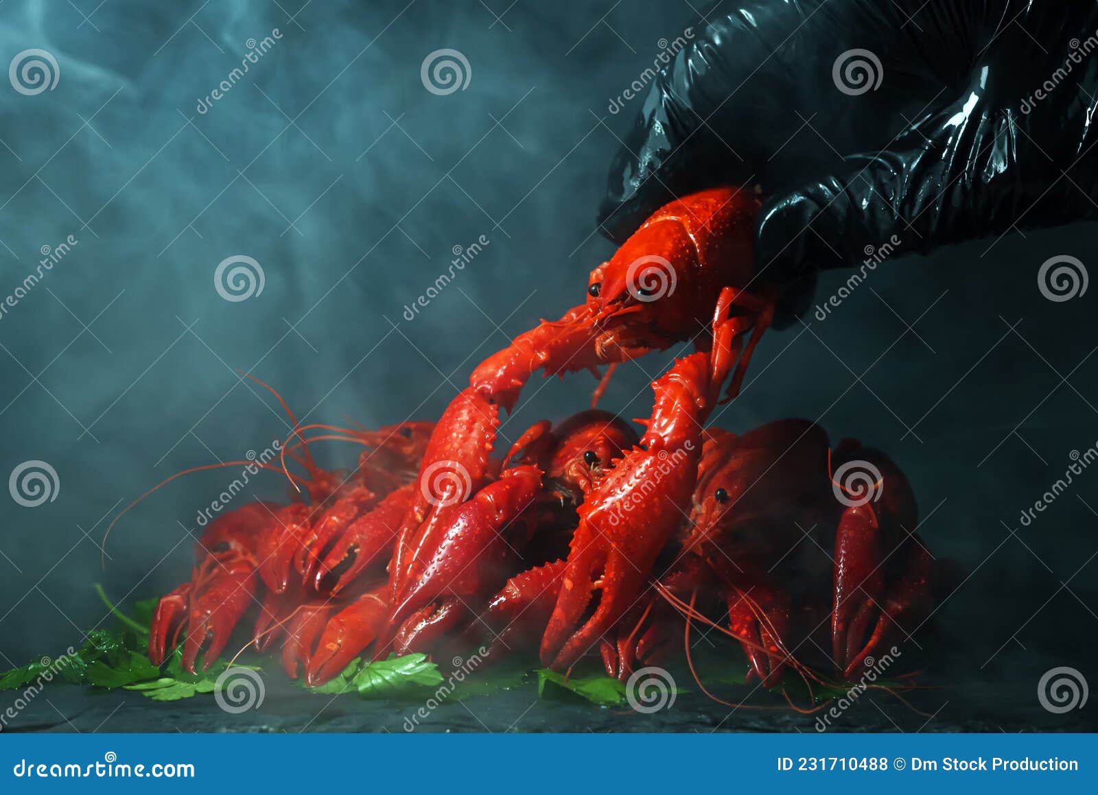 Chef cook putting crawfish stock photo. Image of parsley - 231710488