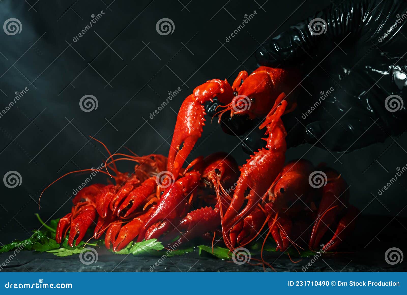 Chef cook putting crawfish stock photo. Image of shellfish - 231710490