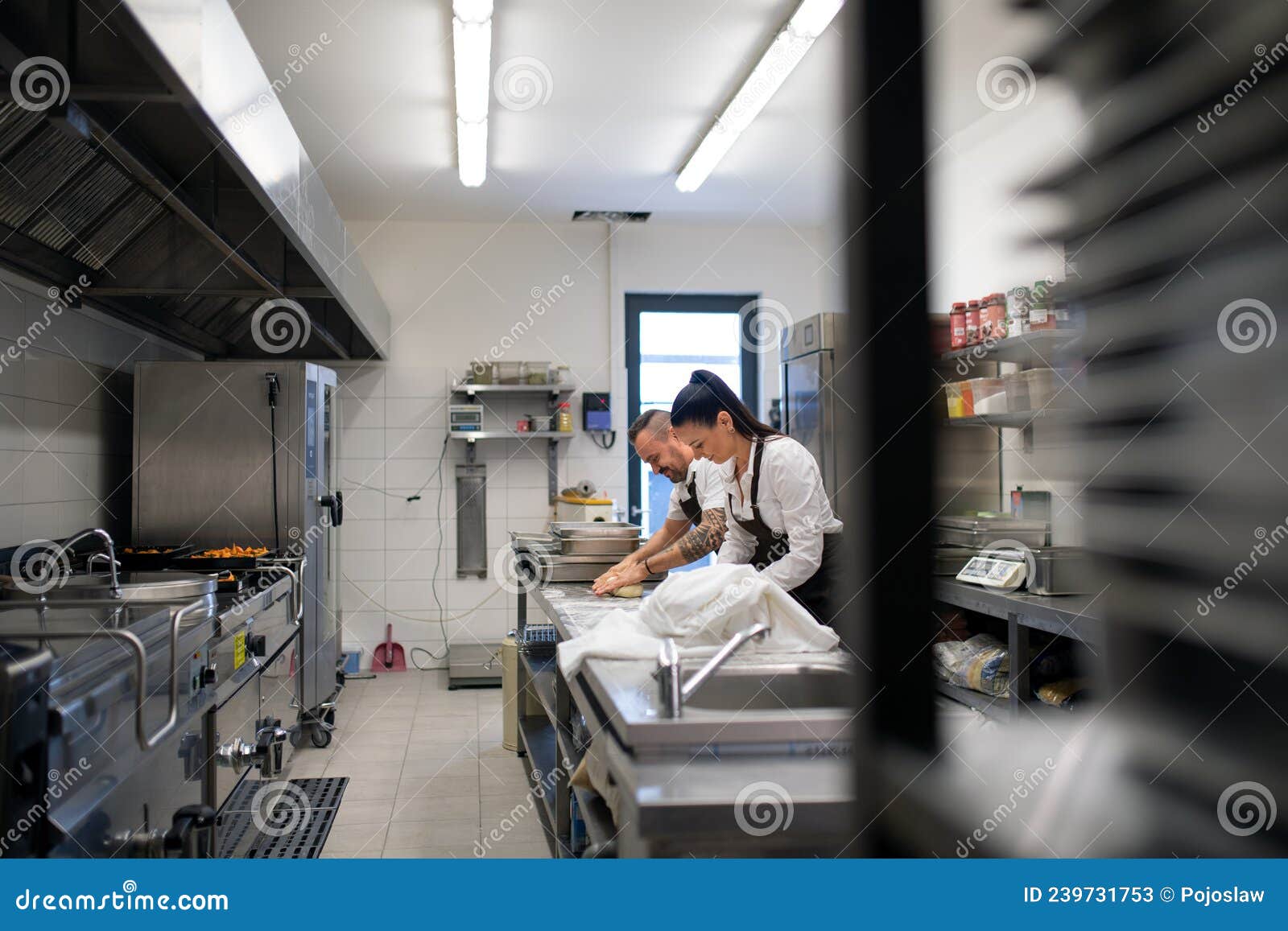 Chef and Cook Working on Their Dishes Indoors in Restaurant Kitchen ...