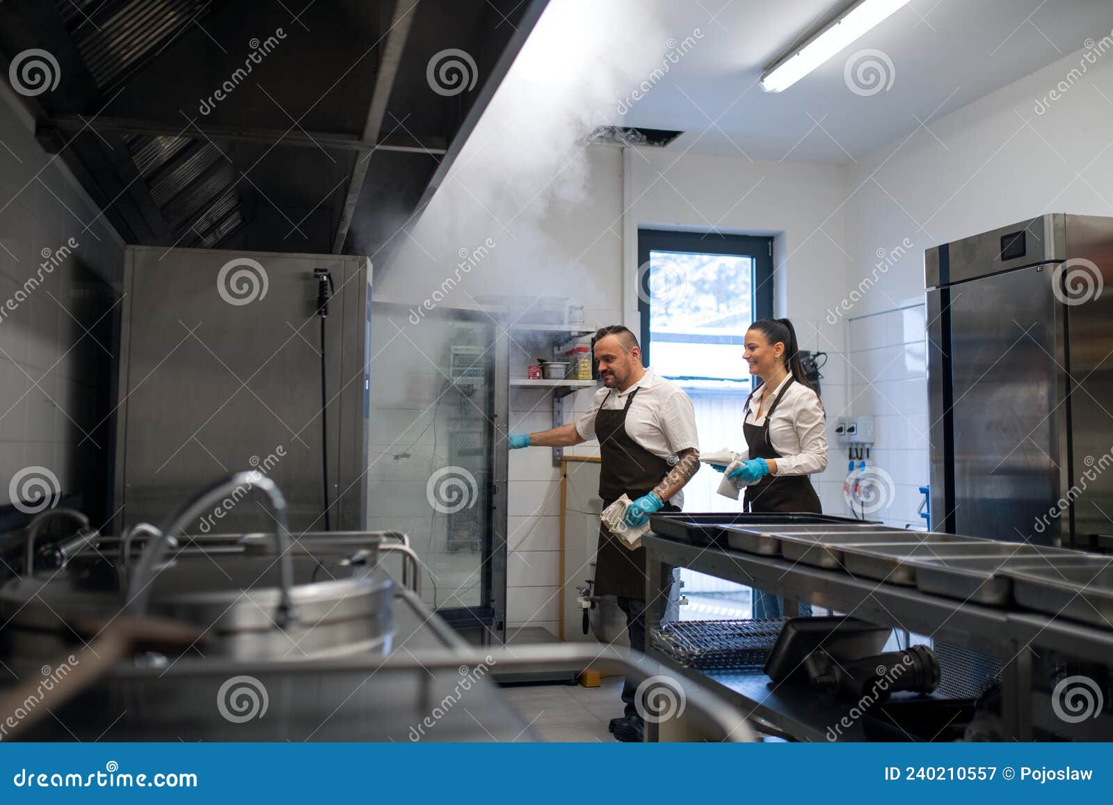 Chef and Cook Working on Their Dishes Indoors in Restaurant Kitchen ...