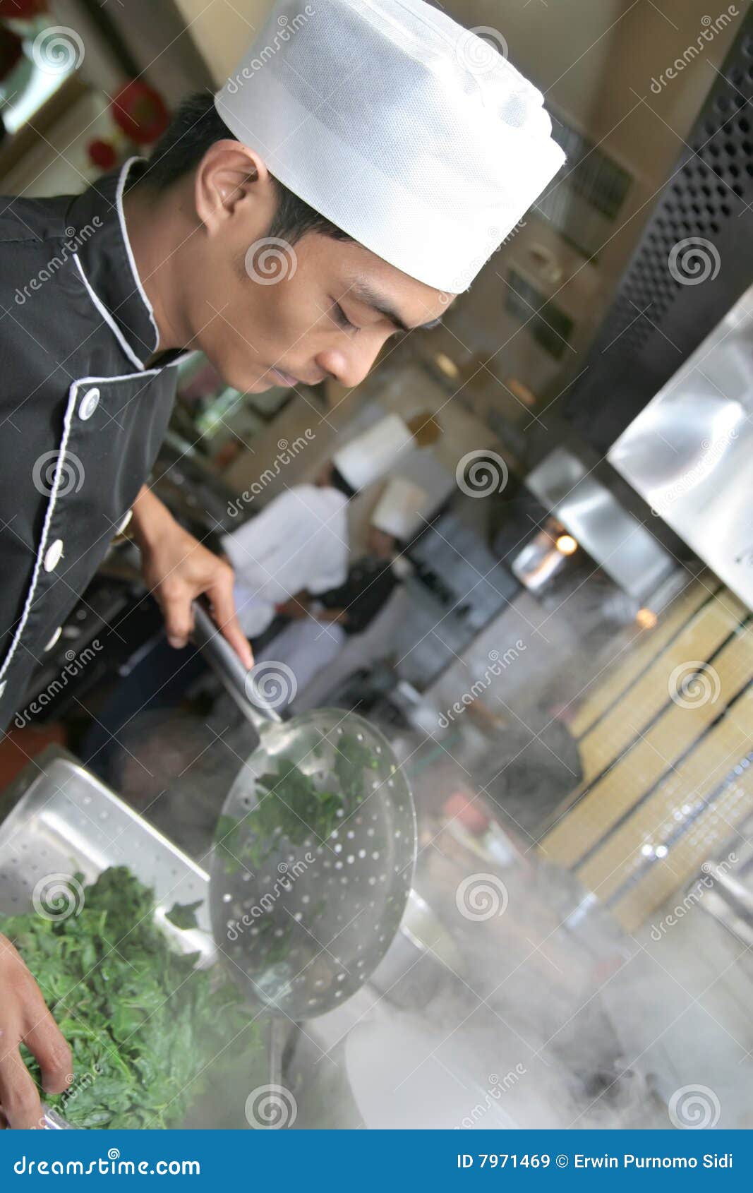 Chef cooking at dinner stock image. Image of food, green - 7971469