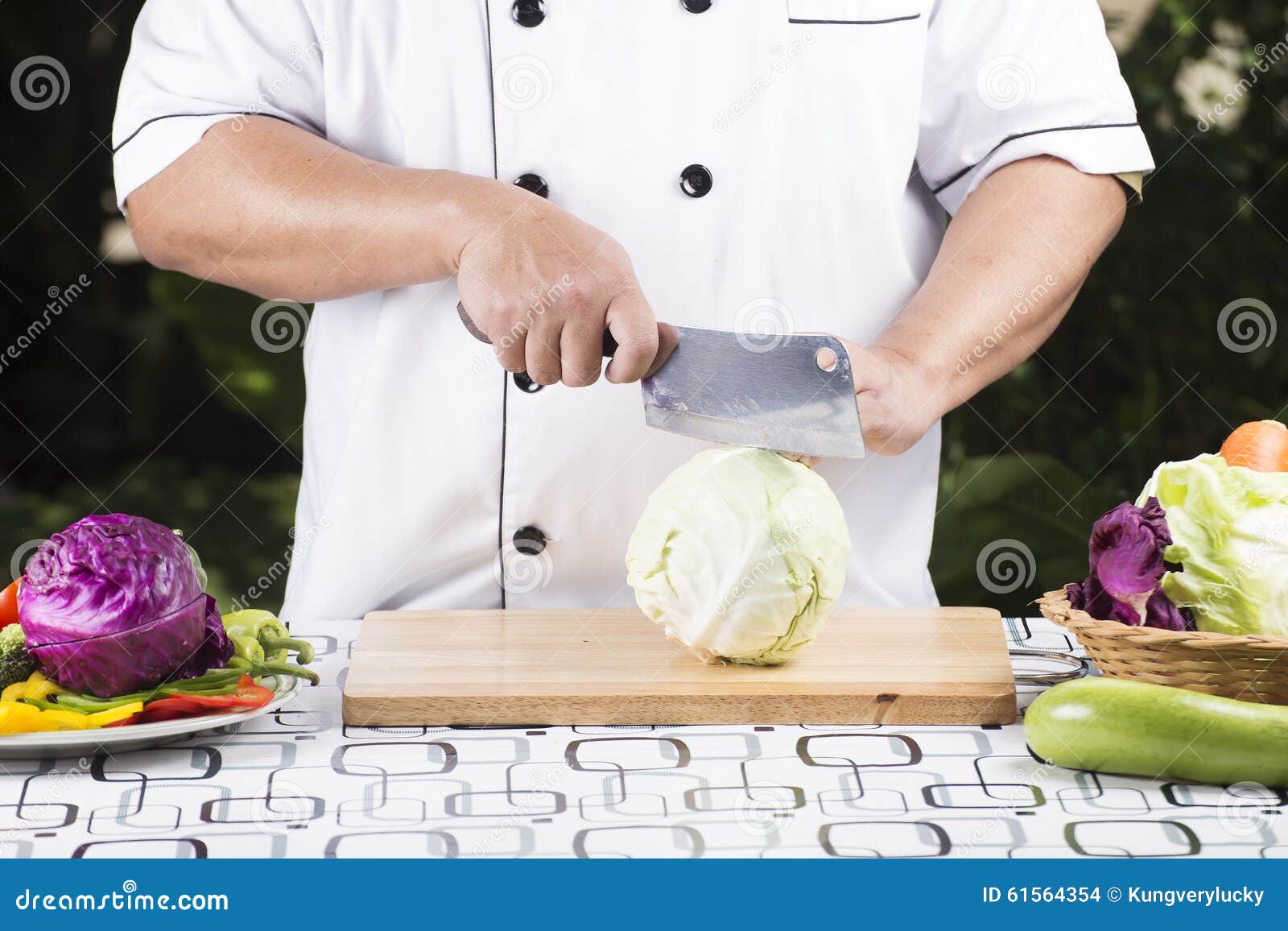 Chef cutting cabbage stock photo. Image of broad, cabbage - 61564354