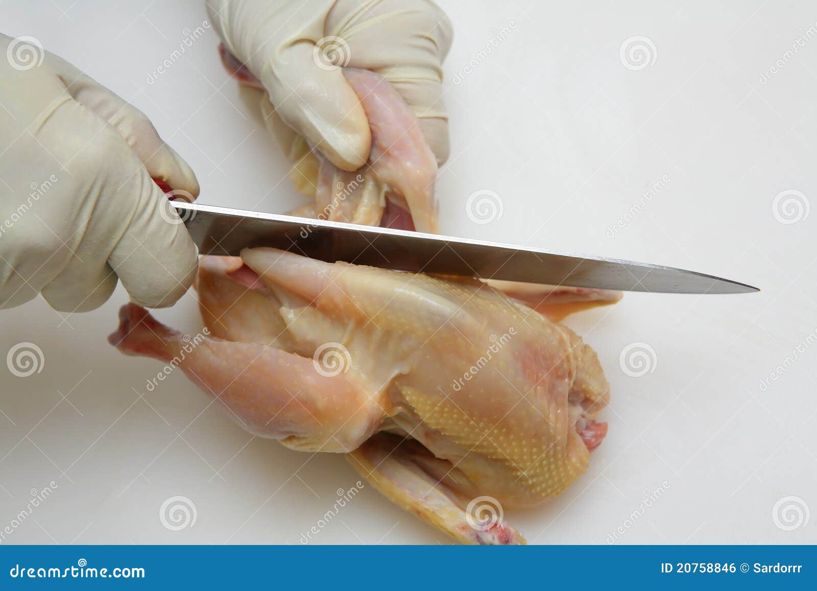 Chef cutting chicken stock photo. Image of service, culinary - 20758846