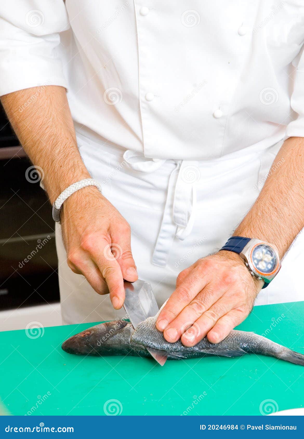 Chef cutting the fish stock photo. Image of oven, caucasian - 20246984