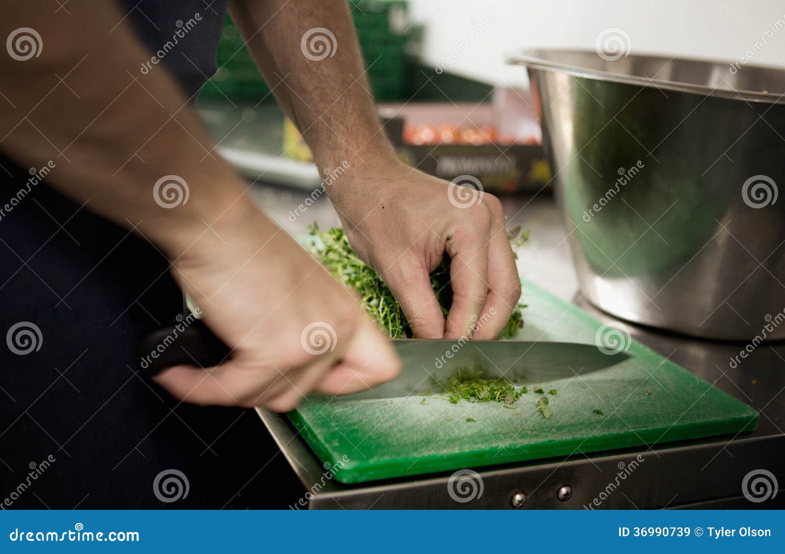Chef Cutting Herbs stock image. Image of chop, dice, food - 36990739