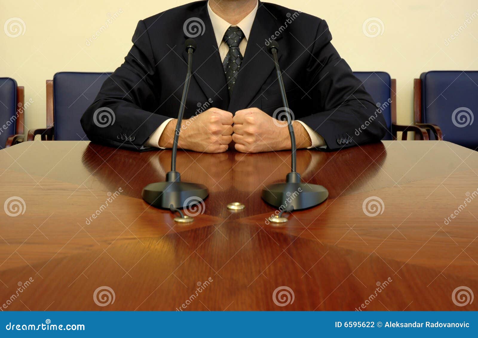 Chef de file des affaires photo stock. Image du main, businessman - 6595622