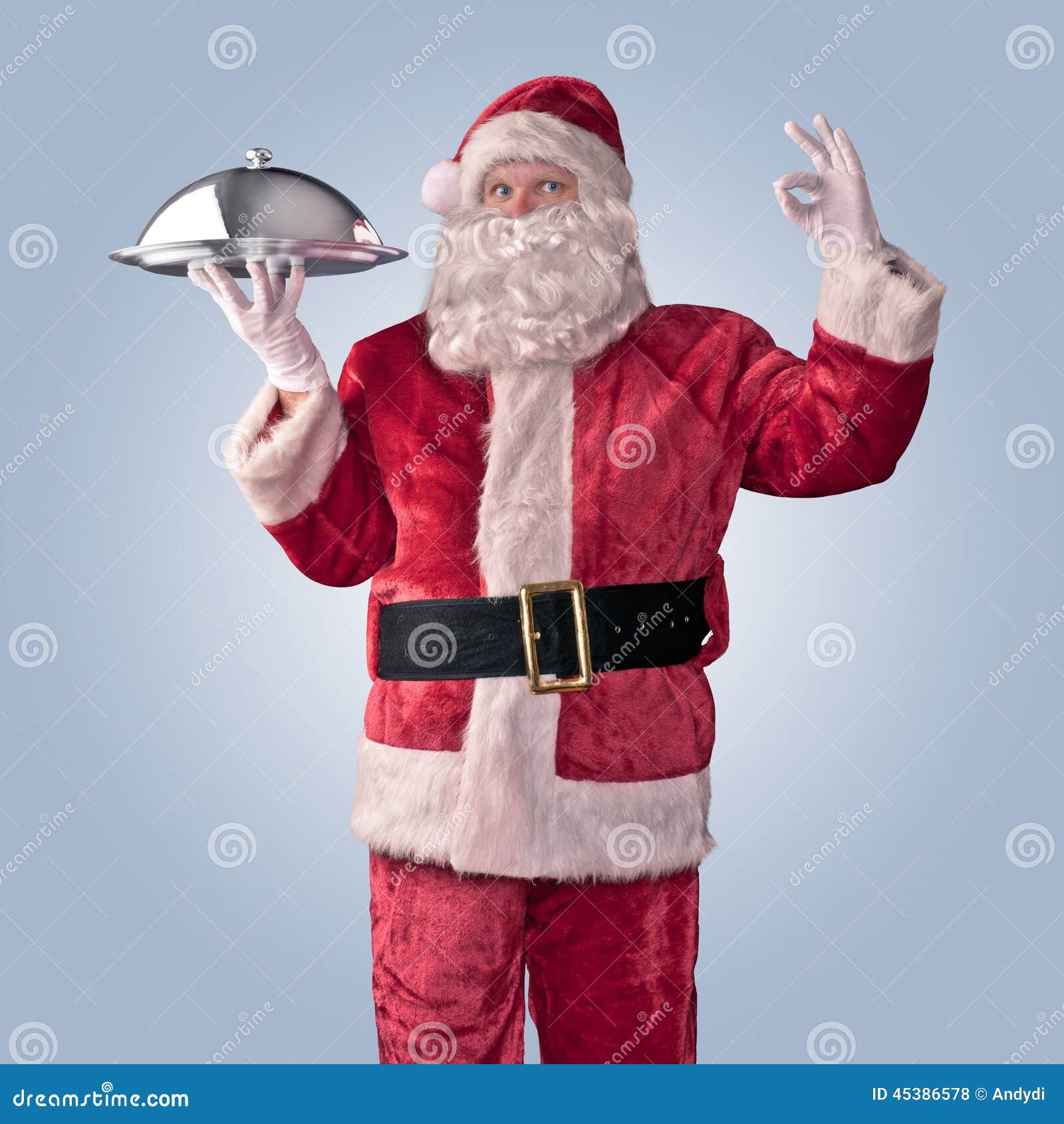 Chef de Santa Claus photo stock. Image du noël, personne - 45386578