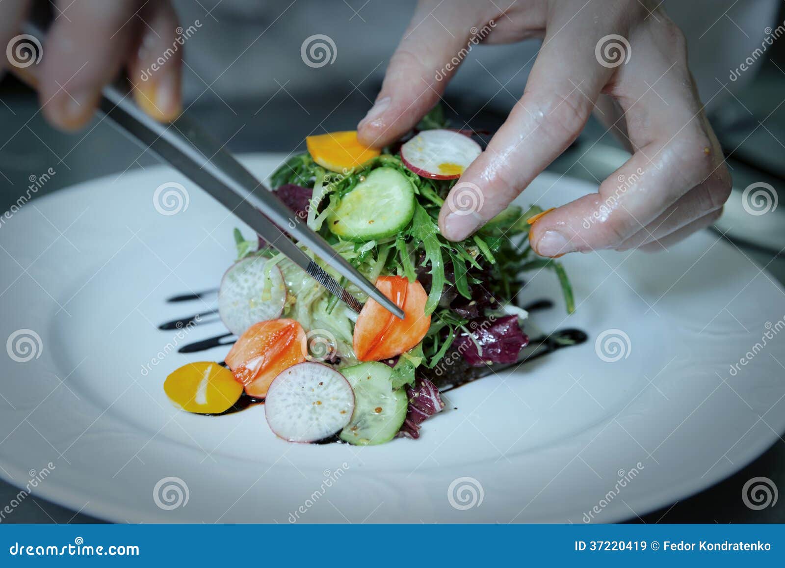 Chef is Decorating Appetizer Stock Image - Image of plate, hand: 37220419
