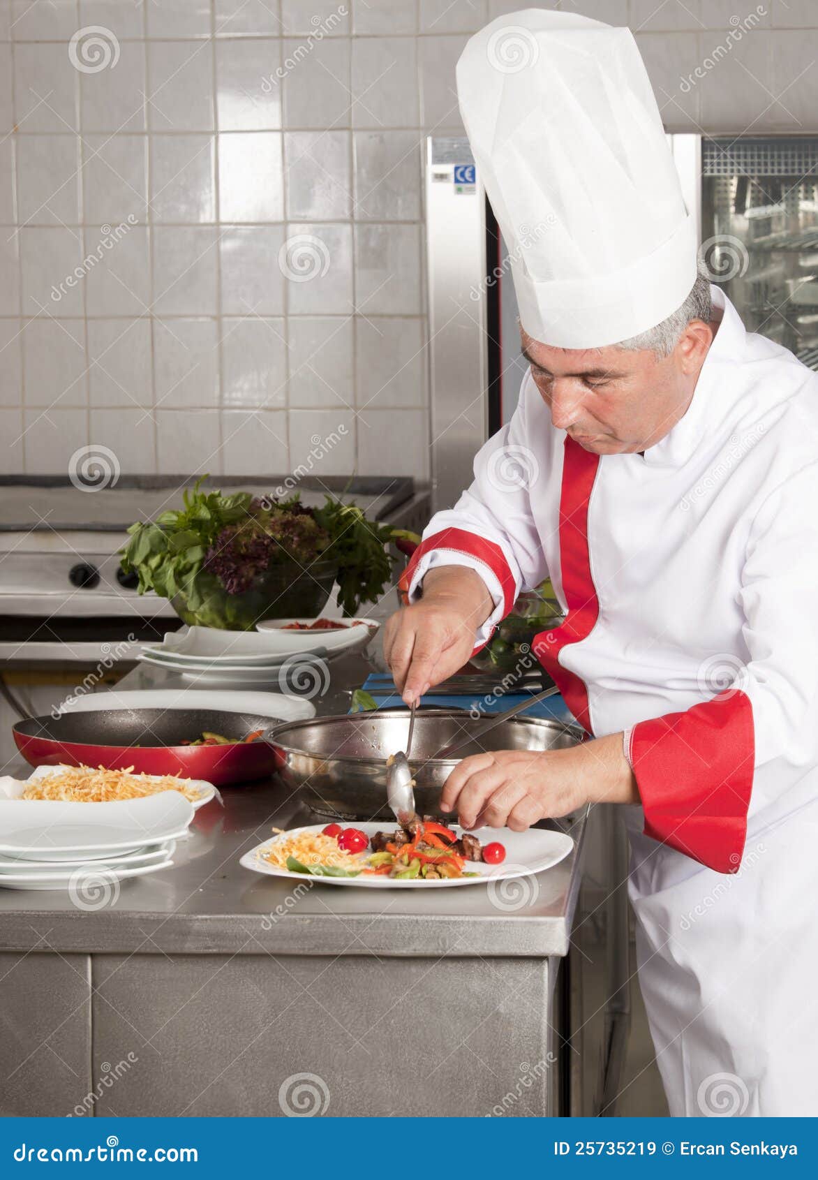 Chef decorating plate stock image. Image of holding, nutrition - 25735219
