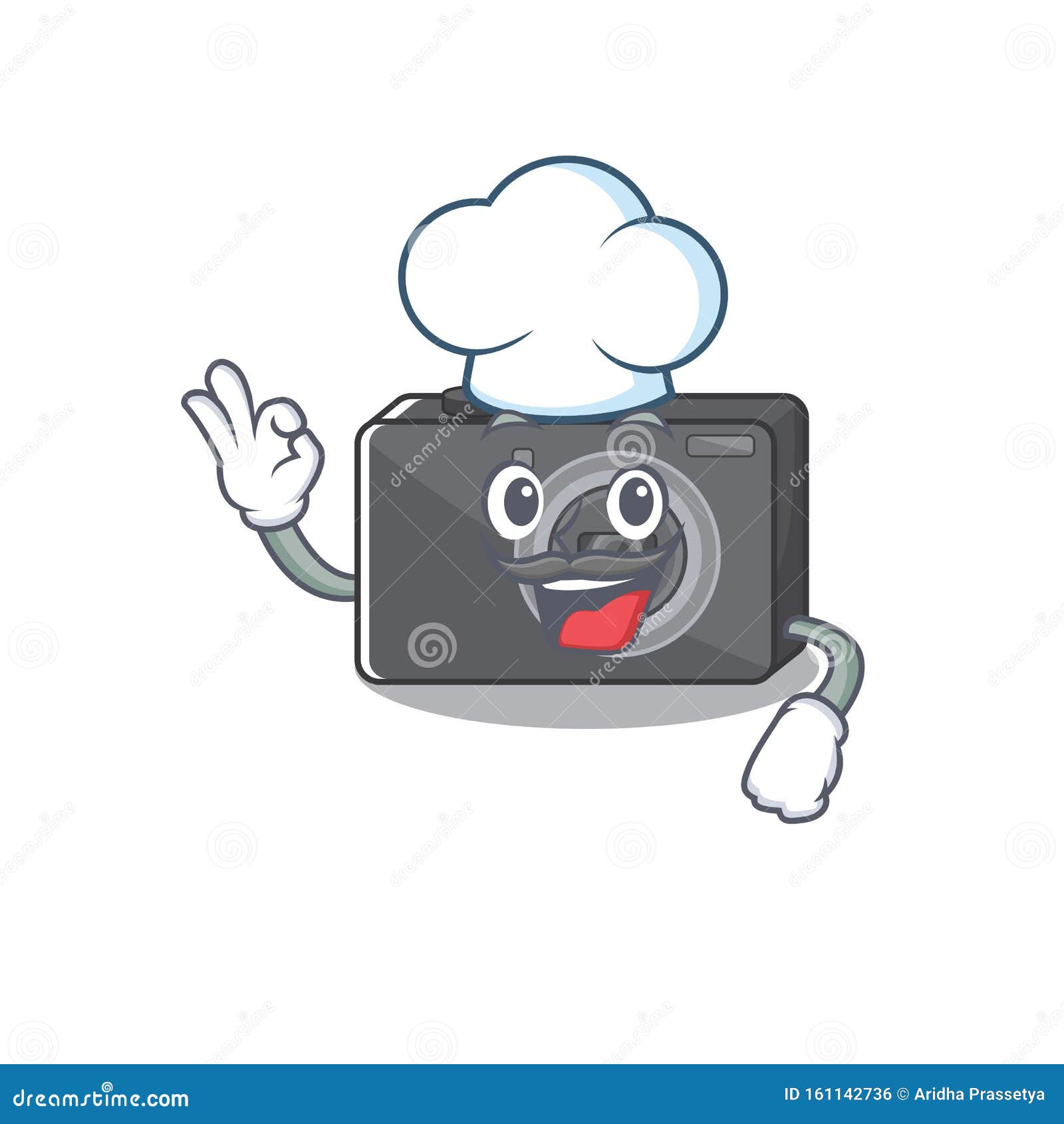 Chef Digital Camera Isolated with the Character Stock Vector ...