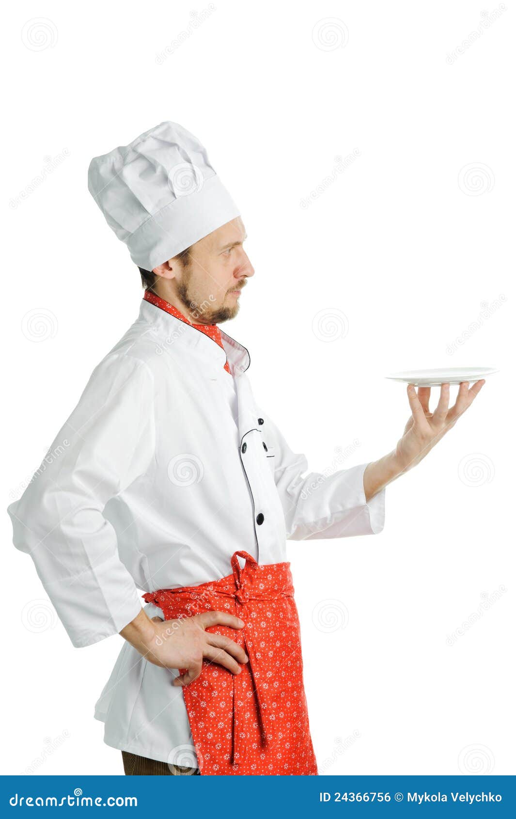 Chef with a dish stock photo. Image of professional, adult - 24366756