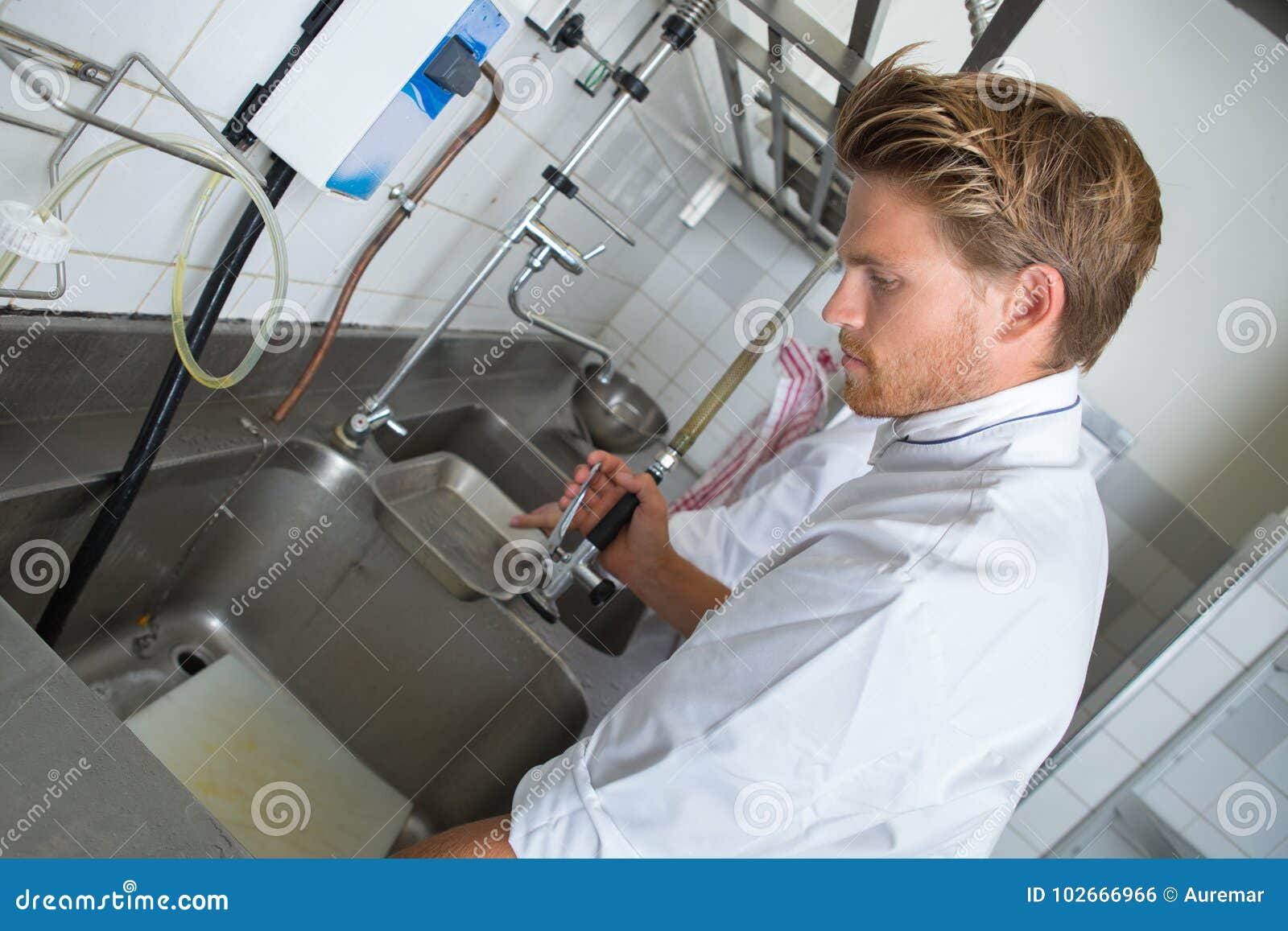 Chef Doing Washing-up at Kitchen Stock Photo - Image of caucasian ...