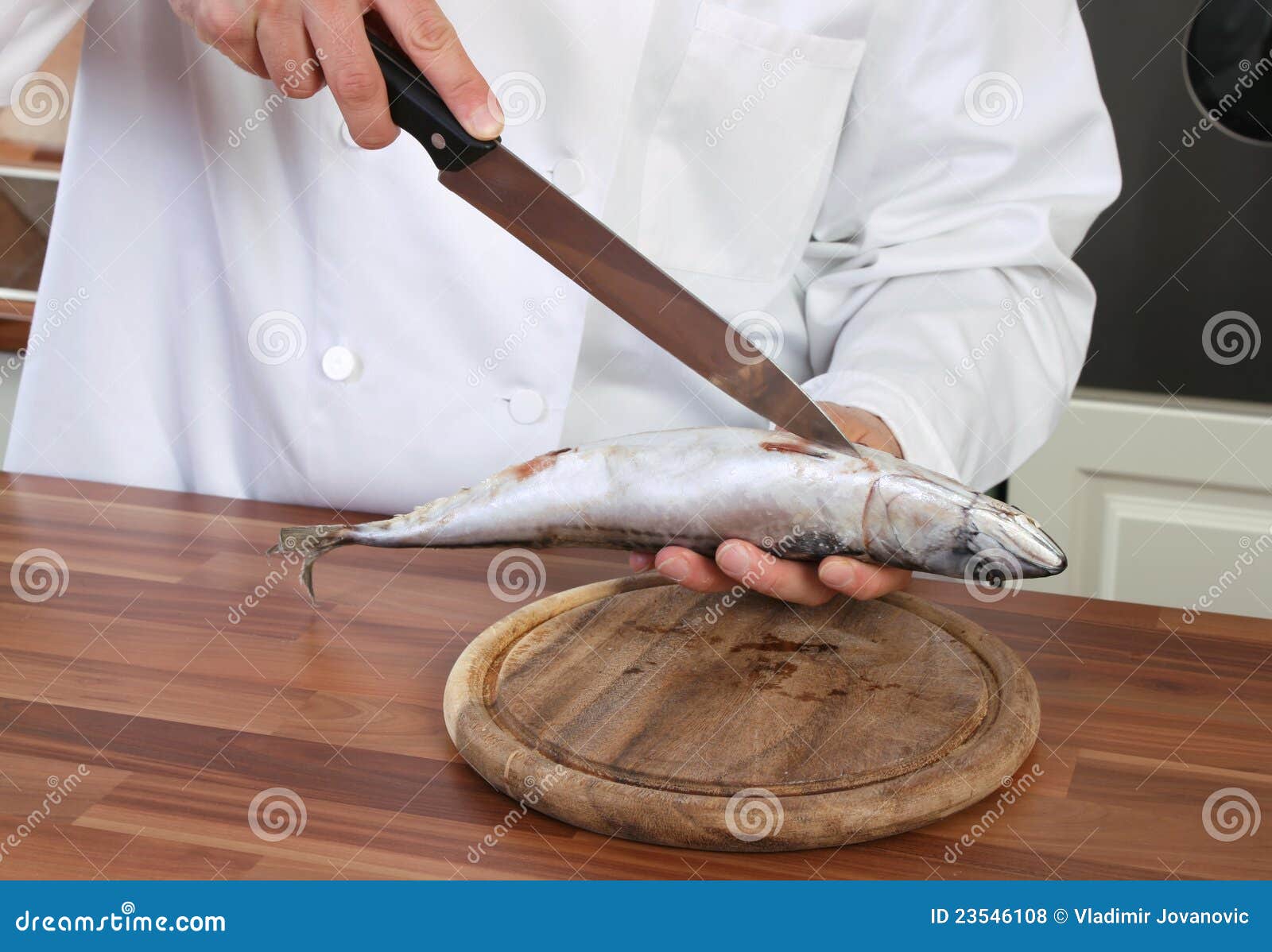 Chef and fish stock photo. Image of scale, prepared, ingredient - 23546108