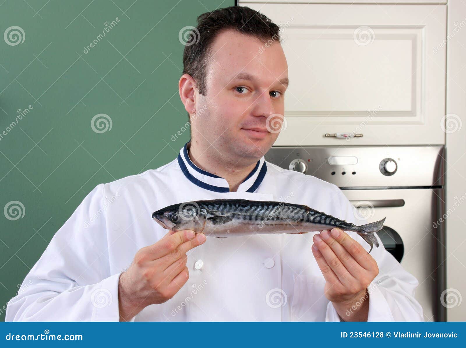 Chef and fish stock photo. Image of fresh, healthy, nature - 23546128