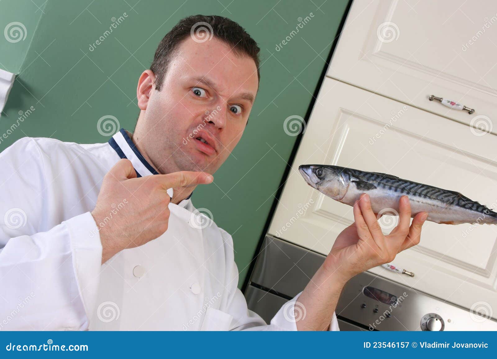 Chef and fish stock image. Image of face, posing, finger - 23546157