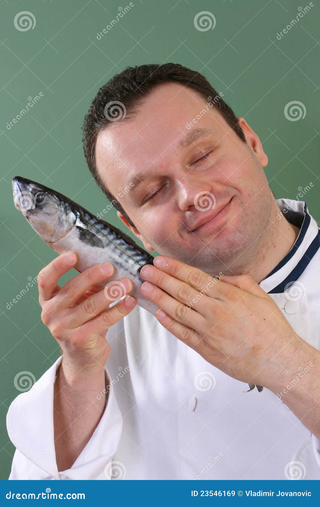 Chef and fish stock image. Image of meal, prepared, kitchen - 23546169