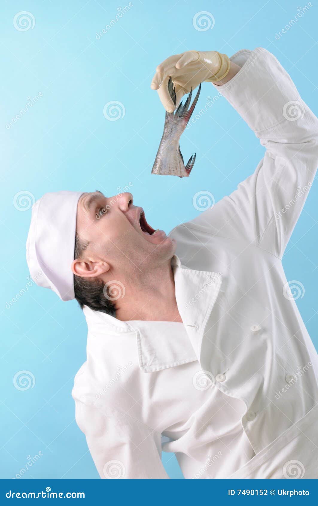 Chef with fish stock photo. Image of food, restaurant - 7490152