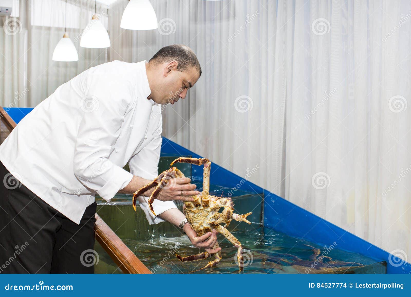 Chef of the Fish Restaurant Stock Photo - Image of lobster, indoors ...